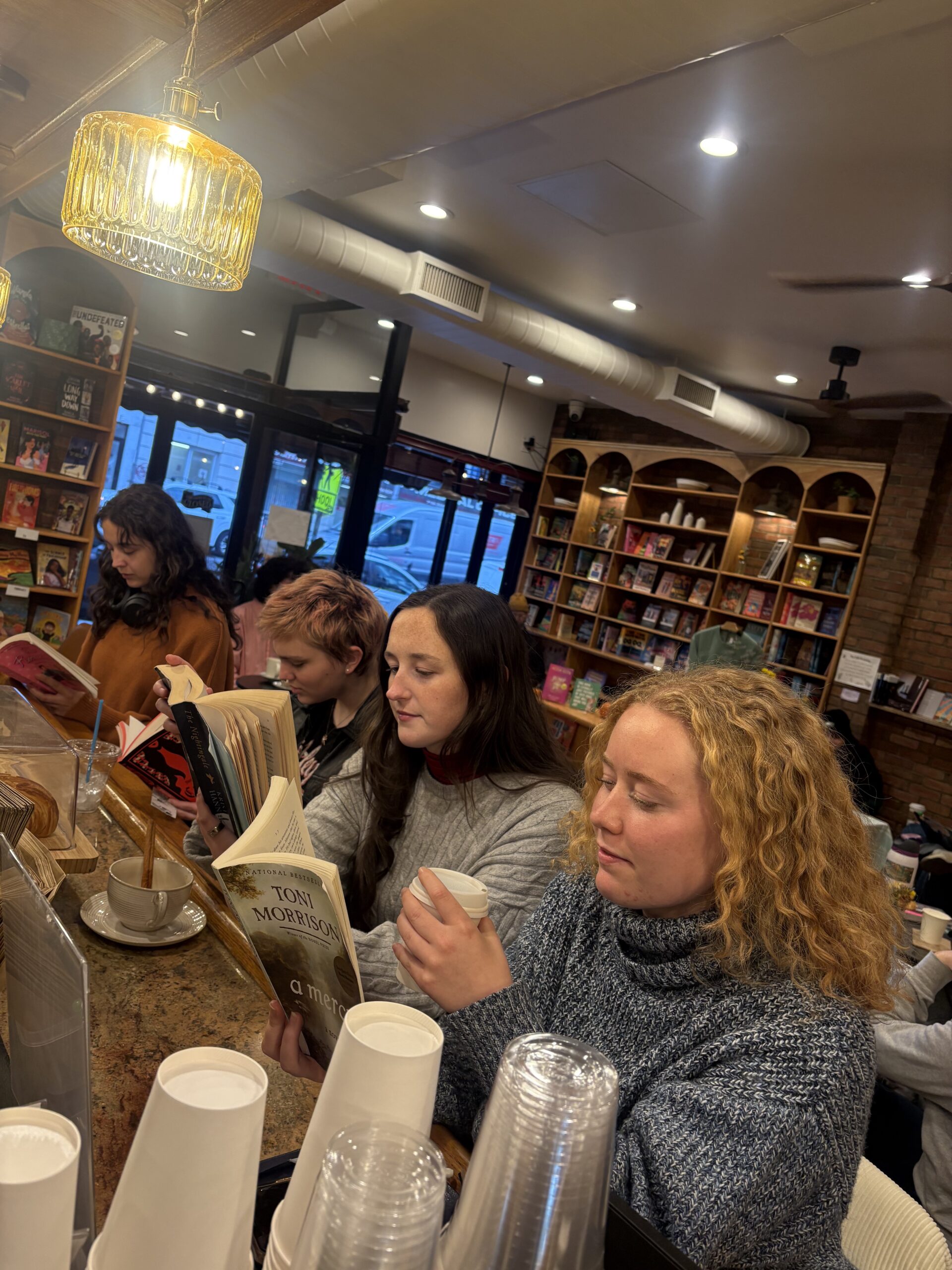 The Little Bookshop - The Little Bookshop